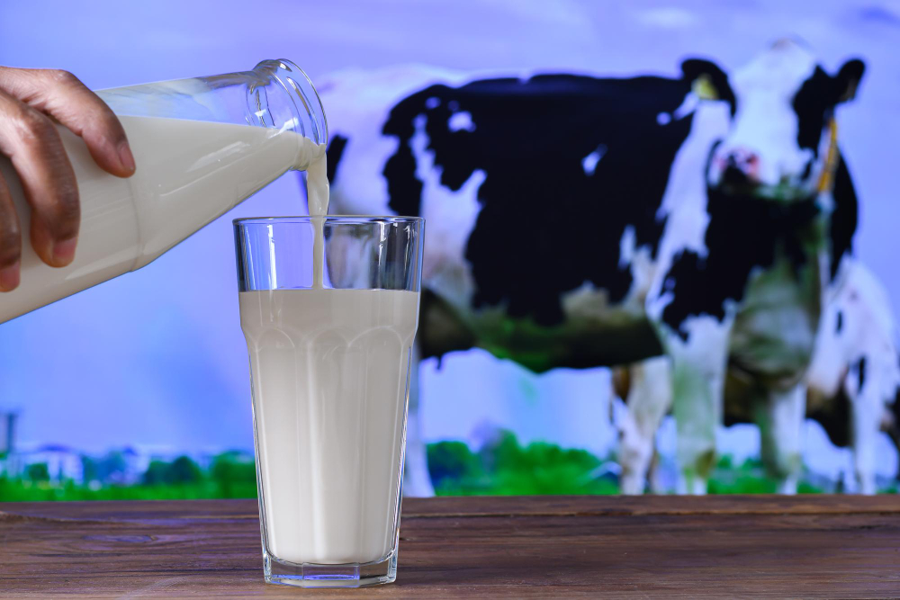 É Saudável Beber Leite De Vaca? Benefícios e Riscos Avaliados ...